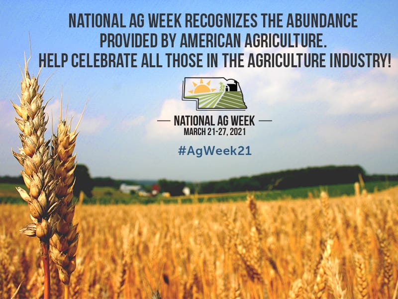 Feeding a world through pandemic focus of National Ag Week - KBHB Radio ...
