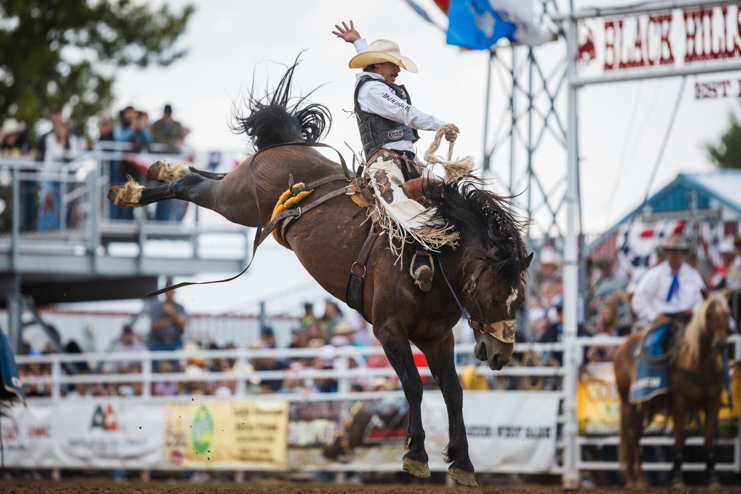 South Dakota PRCA rodeos, stock contractors sweep 2024 PRCA Awards ...